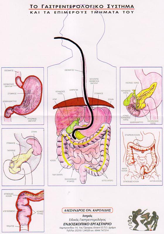 ΓΑΣΤΡΕΝΤΕΡΟΛΟΓΟΙ – ΗΠΑΤΟΛΟΓΟΙ - ΚΑΡΟΛΙΔΗΣ ΑΛΕΞΑΝΔΡΟΣ - - 4ty.gr