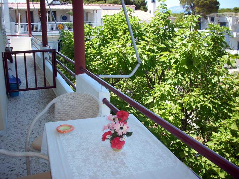 ΕΝΟΙΚΙΑΖΟΜΕΝΑ ΔΩΜΑΤΙΑ ΠΕΥΚΙ ΕΥΒΟΙΑ - DELPHIN IN JOY - Δ - 4ty.gr