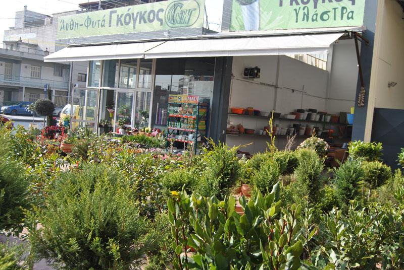 ΑΝΘΗ – ΦΥΤΑ - ΦΥΤΩΡΙΑ ΘΕΡΜΟΚΗΠΙΑ ΛΑΡΙΣΑ - ΑΝΘΗ ΦΥΤΑ - Α - 4ty.gr