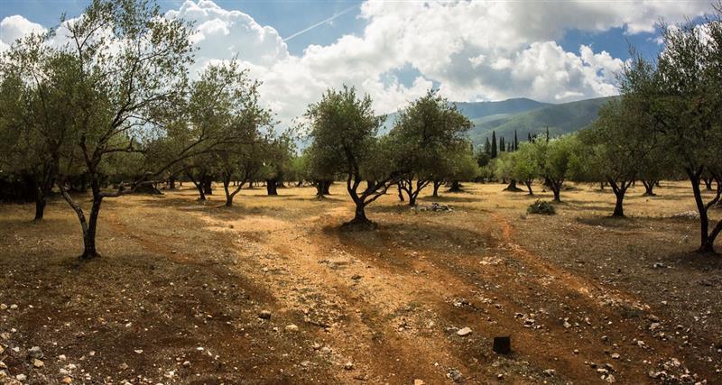 ΕΝΟΙΚΙΑΖΟΜΕΝΑ ΔΩΜΑΤΙΑ ΑΡΓΟΣΤΟΛΙ ΚΕΦΑΛΟΝΙΑ - GREY ROCKS - 4ty.gr