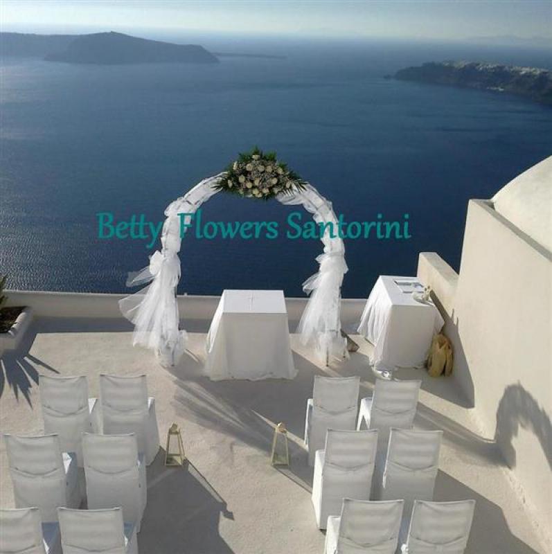 ΑΝΘΗ – ΦΥΤΑ - ΛΥΓΝΟΥ ΕΛΙΣΑΒΕΤ - ΑΝΘΗ ΦΥΤΑ ΣΑΝΤΟΡΙΝΗ ΚΥ - 4ty.gr