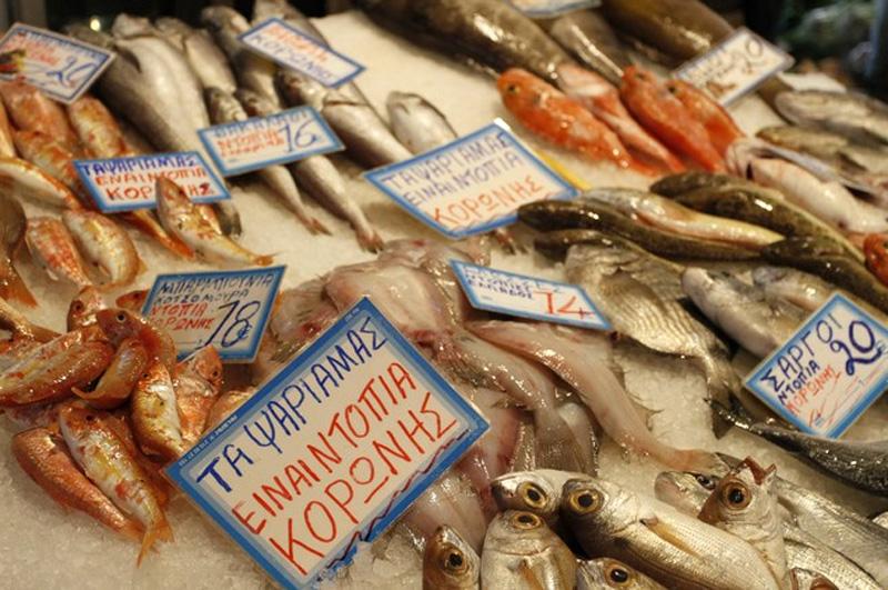 ΙΧΘΥΟΠΩΛΕΙΑ – ΕΙΣΑΓΩΓΕΣ - ΙΧΘΥΟΠΩΛΕΙΟ ΤΑΣΟΥΛΑ - ΦΡΕΣΚΑ - 4ty.gr