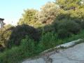 ΥΠΗΡΕΣΙΕΣ - ΚΟΠΗ ΧΟΡΤΩΝ ΑΤΤΙΚΗ - ΚΑΘΑΡΙΣΜΟΣ ΟΙΚΟΠΕΔΩΝ Α - 4ty.gr